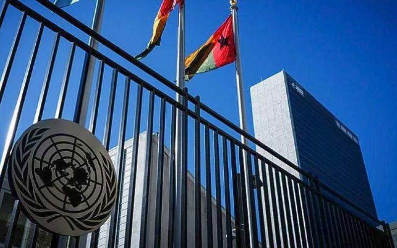 Έκτακτη σύνοδος ΟΗΕ για την πανδημία – ΤΥΠΟΣ ΧΑΛΚΙΔΙΚΗΣ